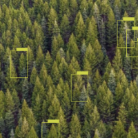 Enlabeler - Use Cases