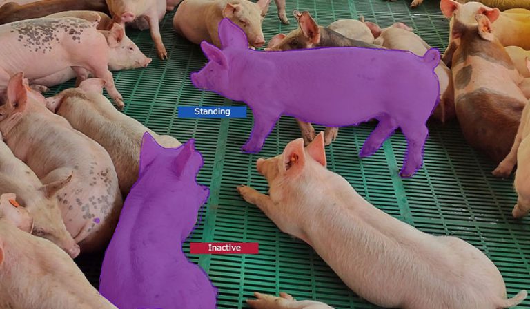 Enlabeler - Use Cases